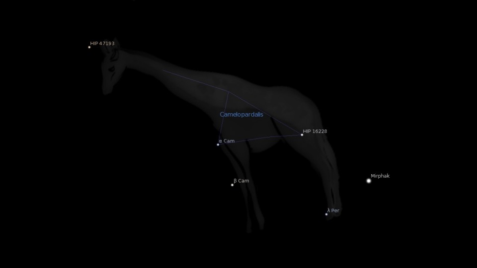 Camelopardalis Constellation – Astrology King