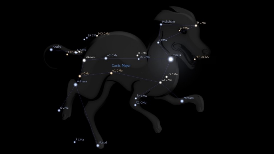 Canis Major Constellation Stars – Astrology King