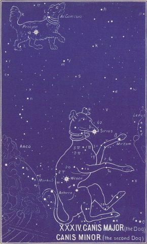 Canis Minor Constellation Meaning – Astrology King