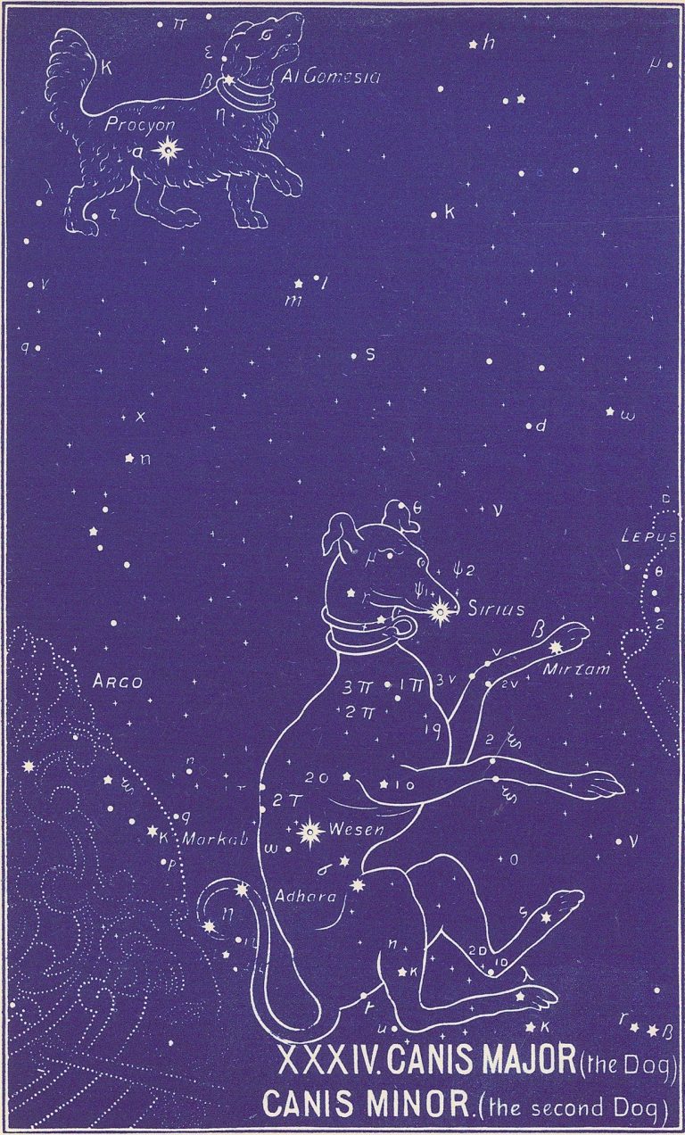 Canis Minor Constellation Meaning – Astrology King