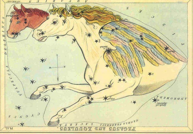 Equuleus Constellation – Astrology King