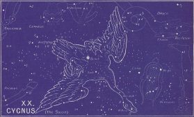 Cygnus Constellation Meaning – Astrology King