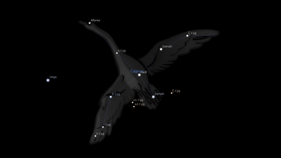 Cygnus Constellation Stars – Astrology King