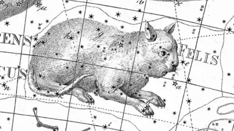 Felis Constellation – Astrology King