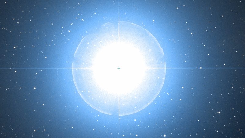Fixed Star Bellatrix – Astrology King