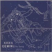 Gemini Constellation Meaning in Astrology – Astrology King