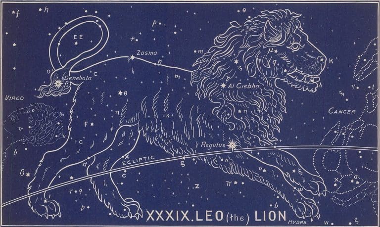 Leo Constellation Meaning in Astrology – Astrology King