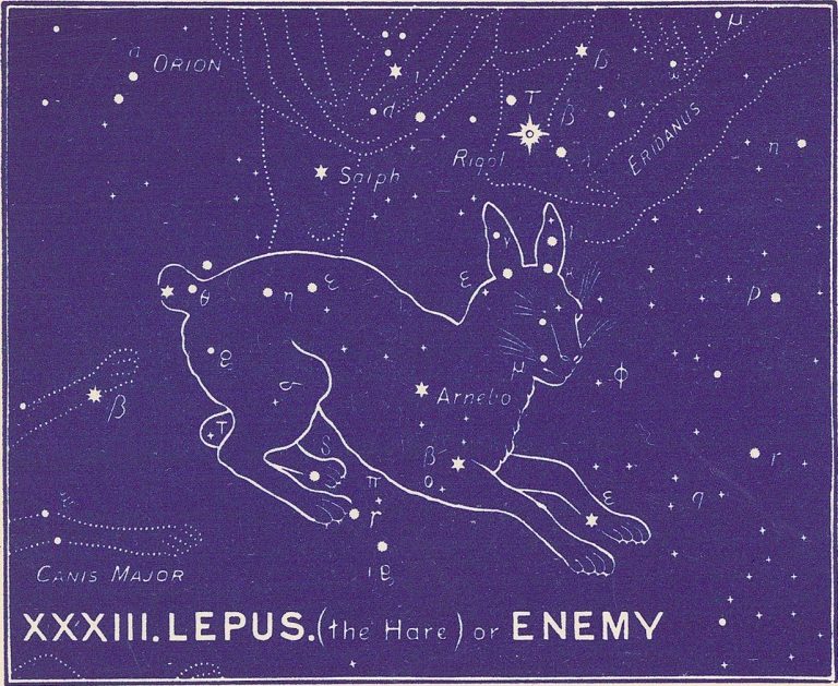 Lepus Constellation Meaning – Astrology King