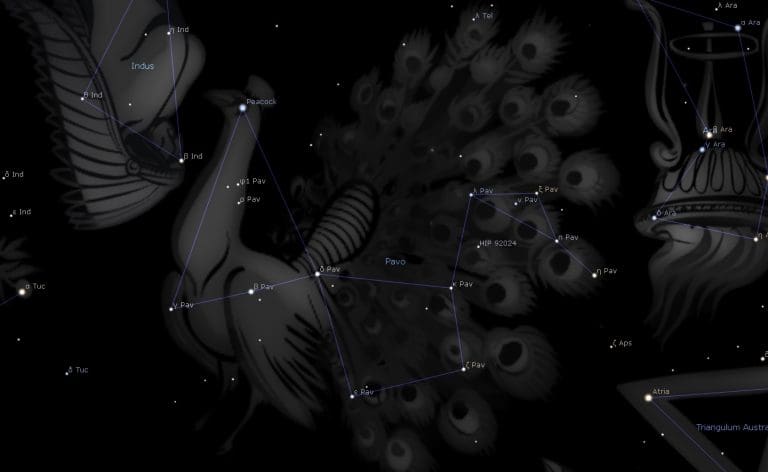 Pavo Constellation Meaning – Astrology King
