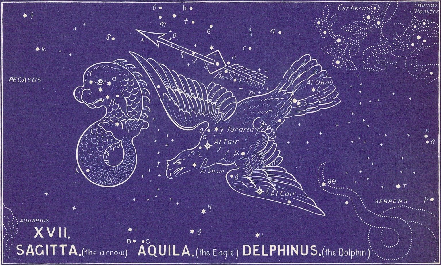 Aquila Constellation Meaning – Astrology King