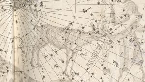 Rangifer Constellation – Astrology King